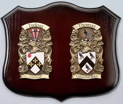 Medium double Brass Shield